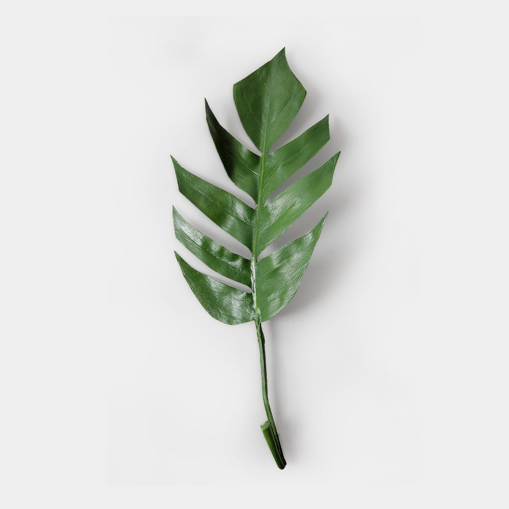Flourish Dragon Tail Leaf – Our Home Philippines